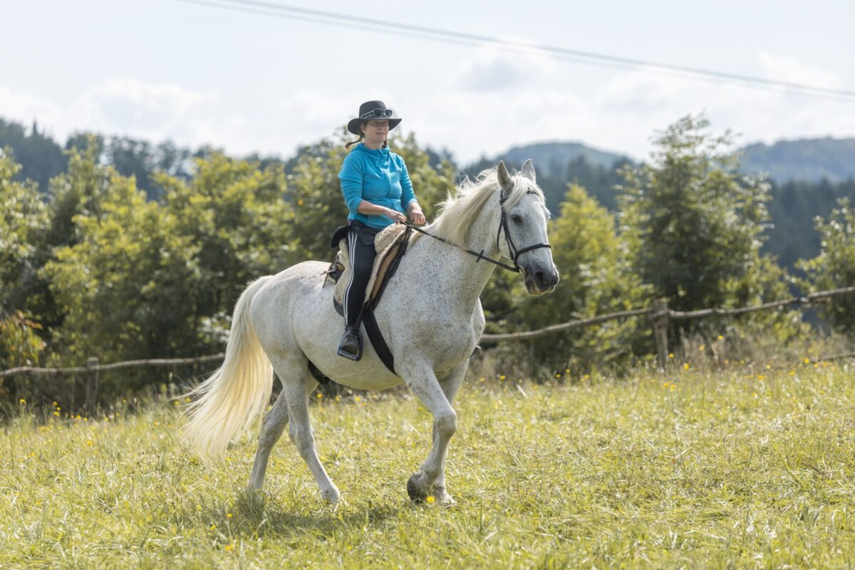 Alice Nellis do filmu Buko obsadila vlastního koně Láďu | Cinemart.cz